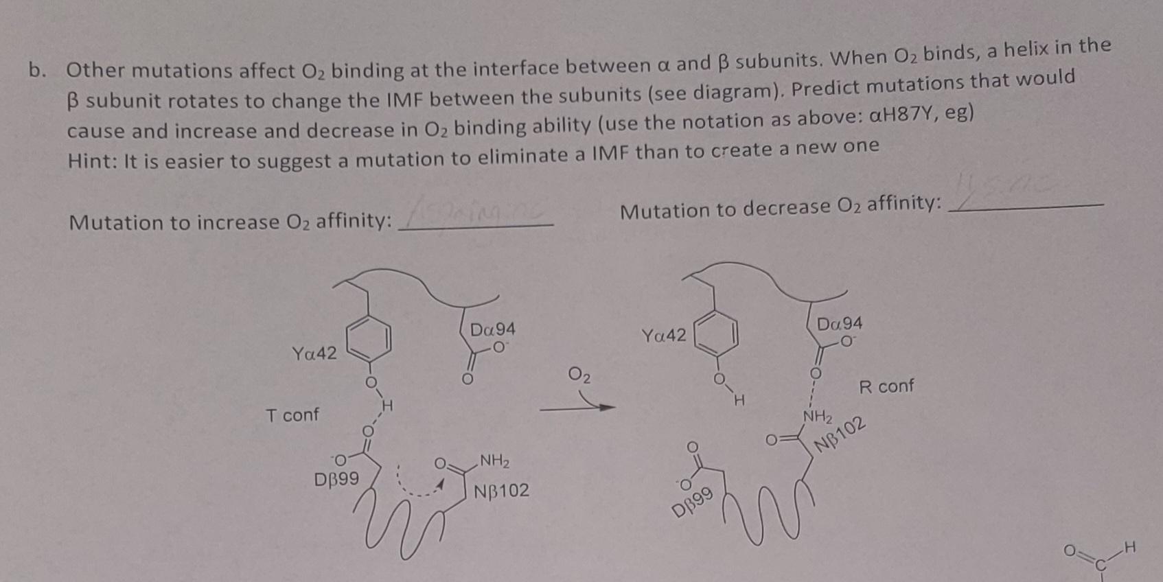 b. Other mutations affect O2 binding at the interface | Chegg.com