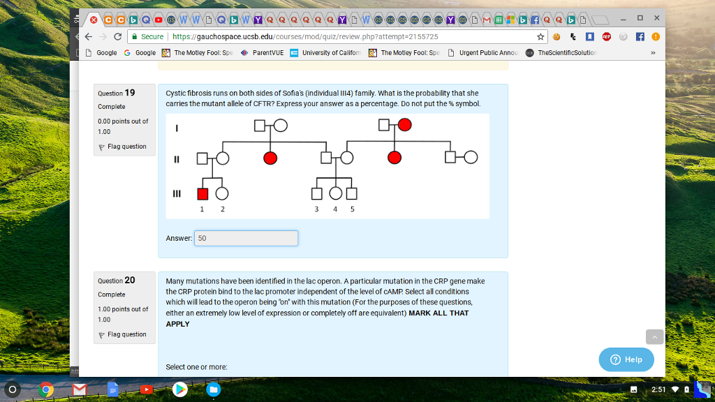 Solved C Secure https//gauchospace | Chegg.com