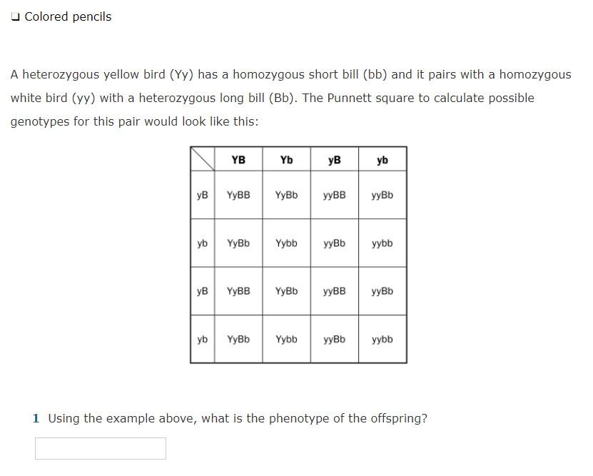 Solved 5 Describe how you could design a test cross to | Chegg.com