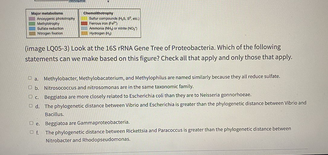 Solved 16S rRNA Gene Tree of Proteobacteria Proteobacterial | Chegg.com