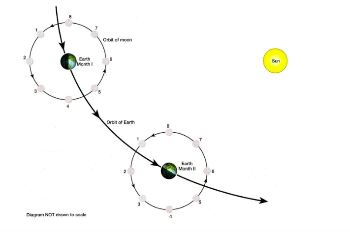Solved Use a pencil to shade the half of moon on each of the | Chegg.com