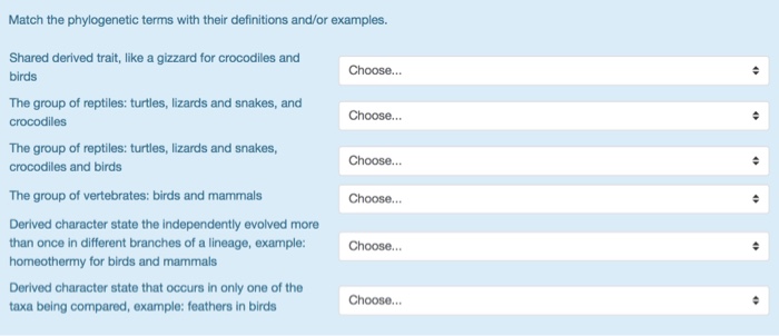Solved Match the phylogenetic terms with their definitions | Chegg.com