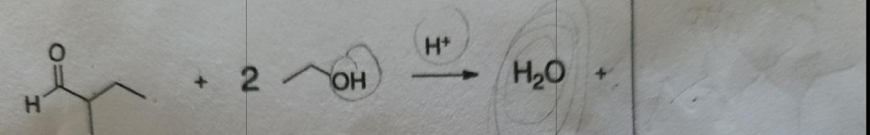 Solved +2 OH H+ H2O+ | Chegg.com