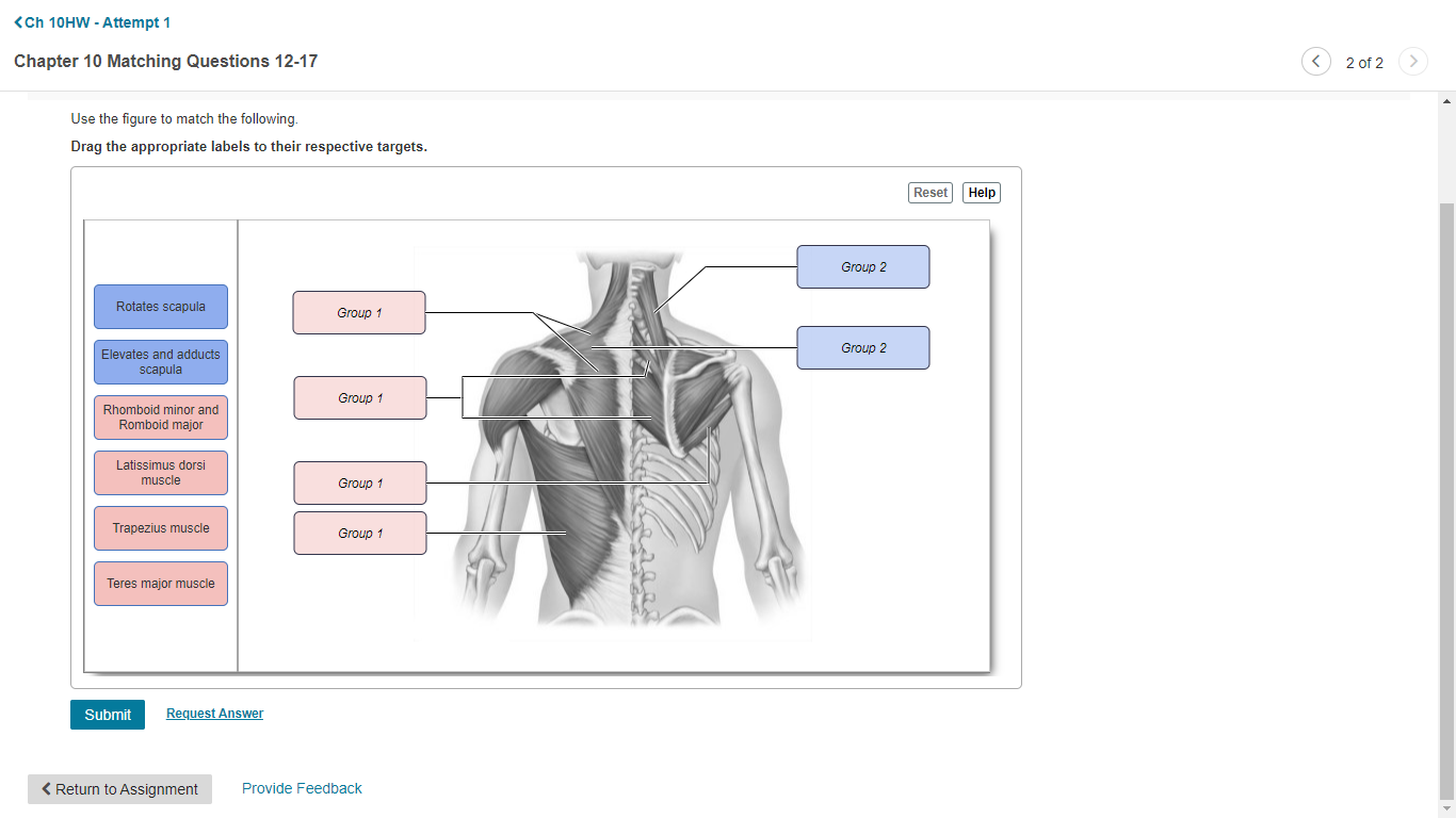 Solved Question | Chegg.com