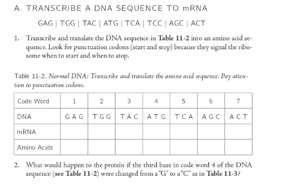 Solved IV. DNA → RNA In Table 11-1 below, fill in the | Chegg.com