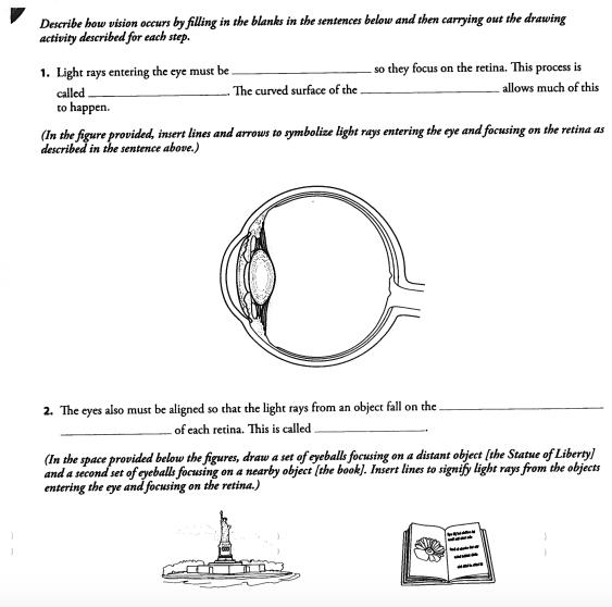 Solved Describe how vision occurs by filling in the blanks | Chegg.com
