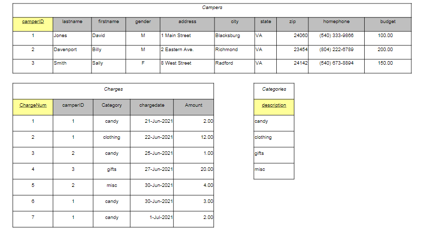 Solved SQL Oracle Add a column to the campers table named | Chegg.com