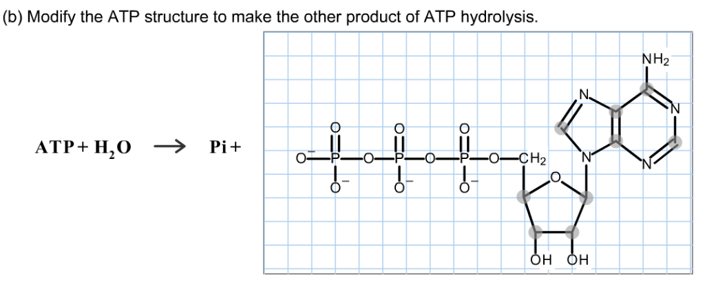Solved (a) Identify the bond that is broken in ATP | Chegg.com