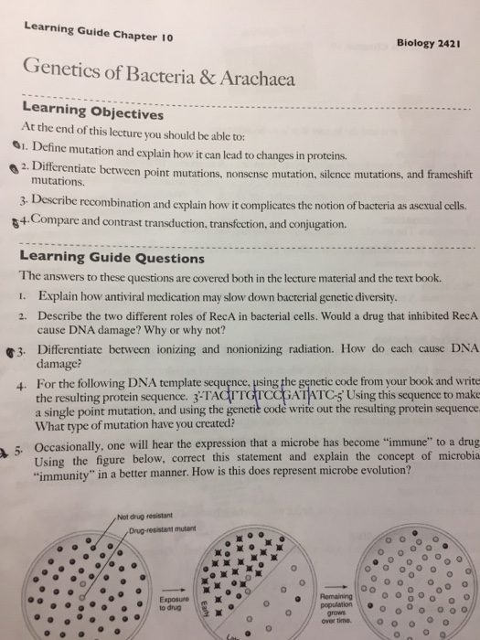 Solved Learning Guide Chapter 10 Biology 2421 Genetics of | Chegg.com