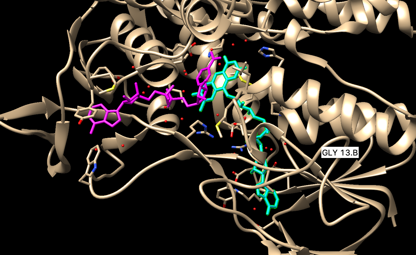 Solved Question 1 3 pts Lipoamide dehydrogenase catalyzes a | Chegg.com