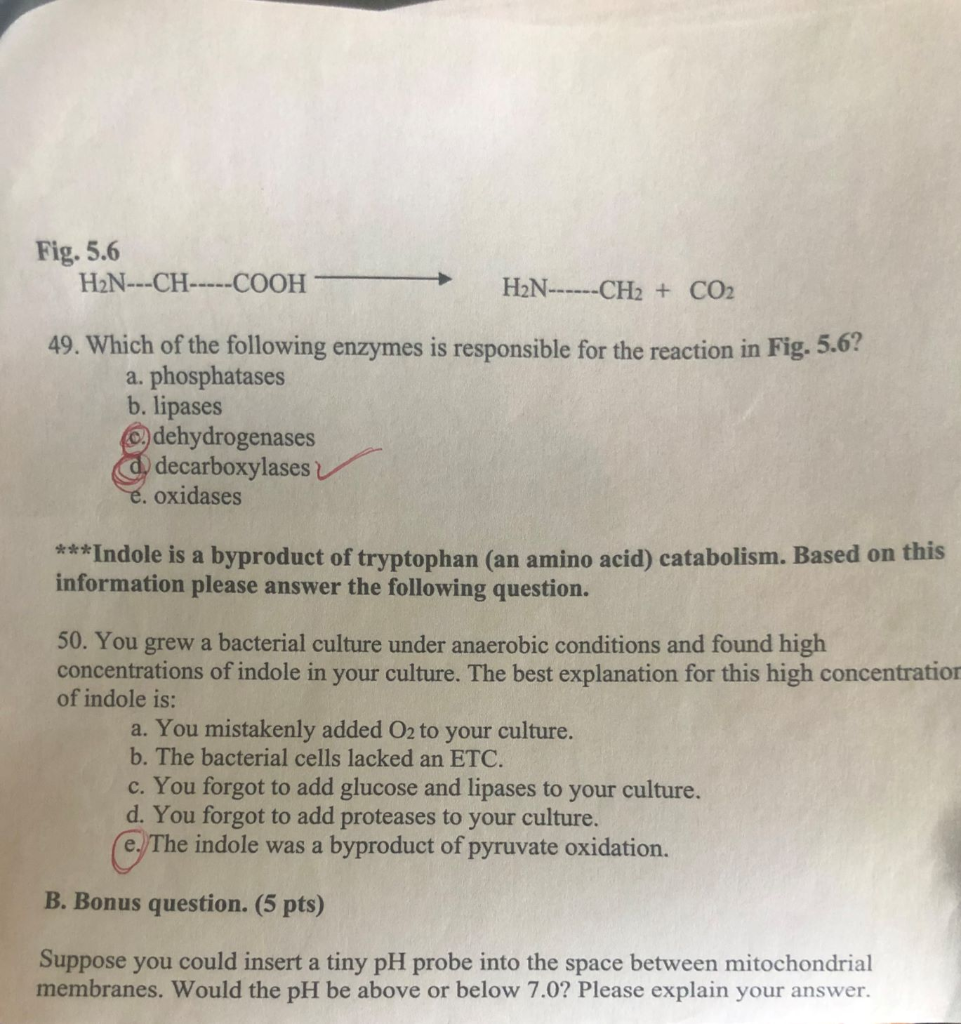 Solved Fig. 5.6 H2N---CH----COOH H2N------CH2 + CO2 49. | Chegg.com