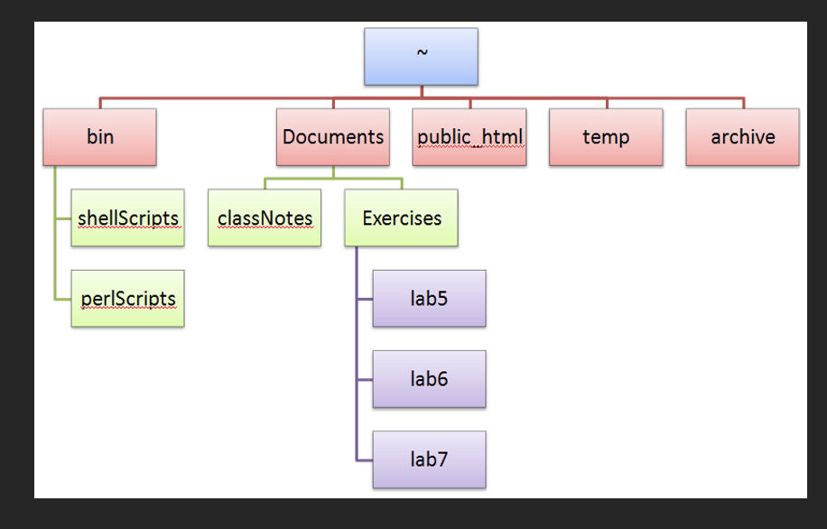 Solved Instructions Complete all of the following steps: | Chegg.com