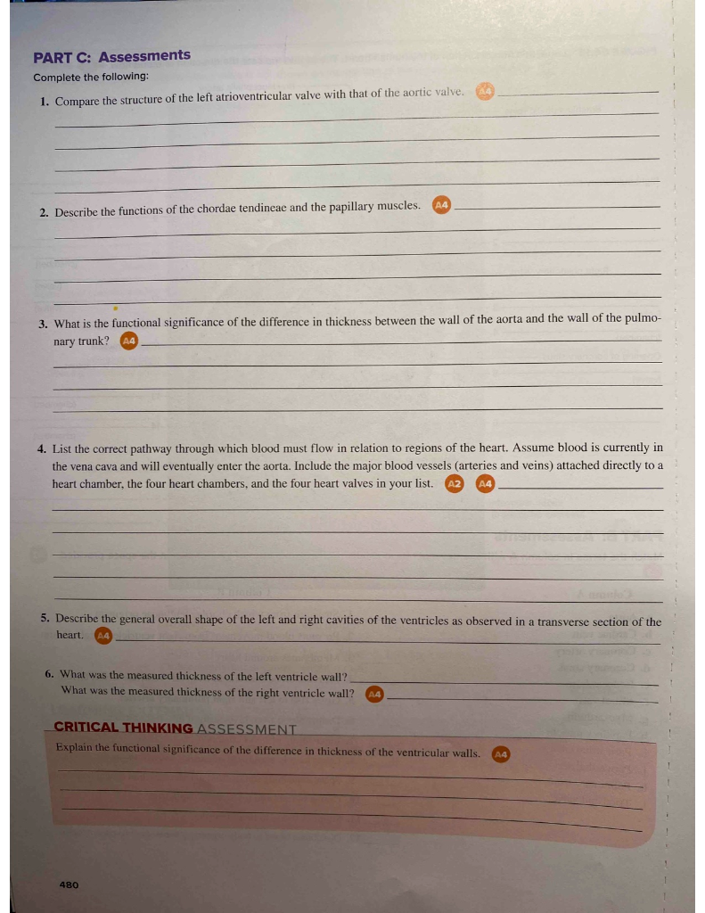 Solved PART C: Assessments Complete the following: 1. | Chegg.com