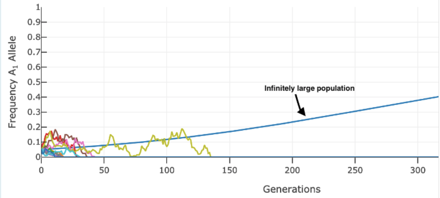 Solved 1. The figure below shows the frequency of an allele | Chegg.com