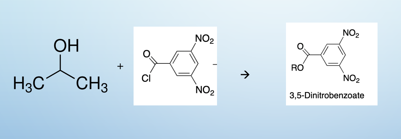 Solved NO2 NO, OH + RO ci NO2 H3C CH3 NOZ | Chegg.com