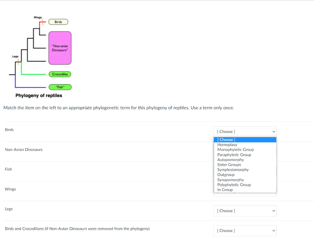 Solved Wings Birds "Non-avian Dinosaurs" Legs Crocodiles | Chegg.com