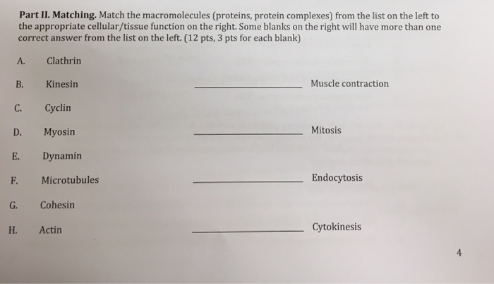 Solved Part II. Matching. Match the macromolecules | Chegg.com