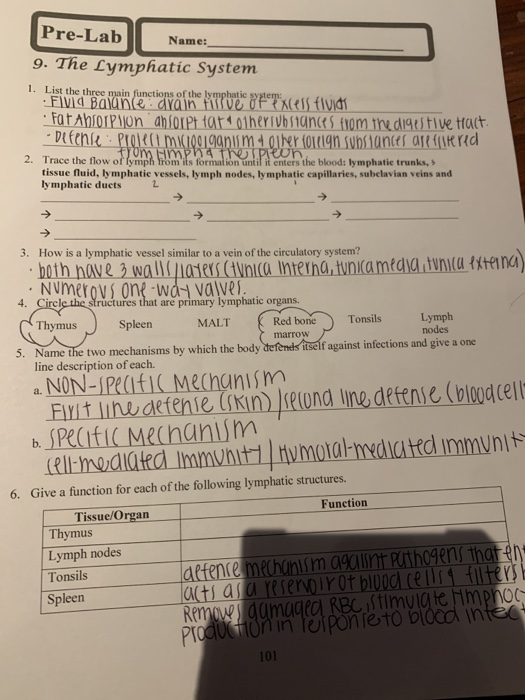 Solved Pre-Lab Name: 9. The Lymphatic System 1. List the | Chegg.com