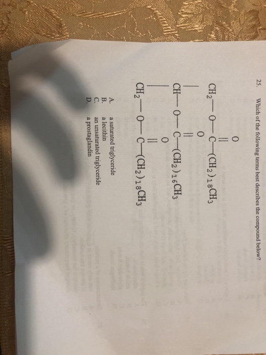 Solved 25. Which of the following terms best describes the | Chegg.com