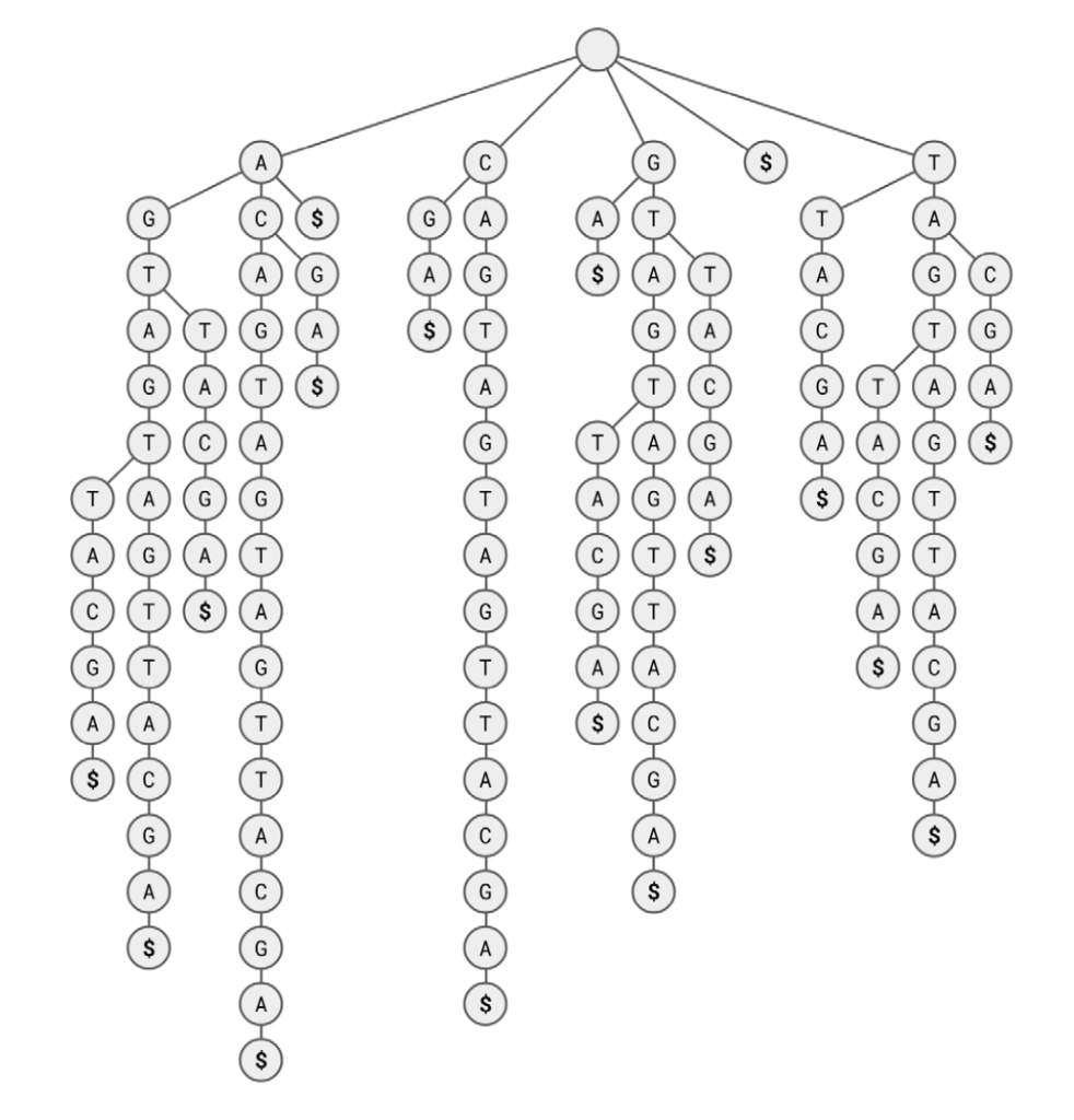 Solved Problem 3 (30 points): a. Construct a Suffix Trie | Chegg.com