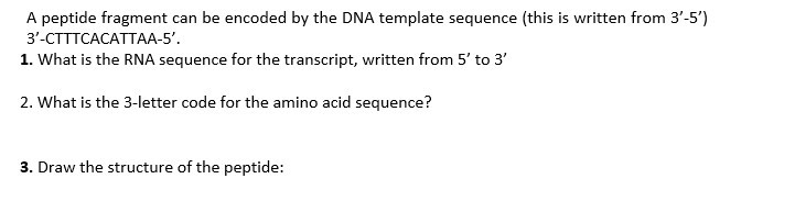 Solved A peptide fragment can be encoded by the DNA template | Chegg.com