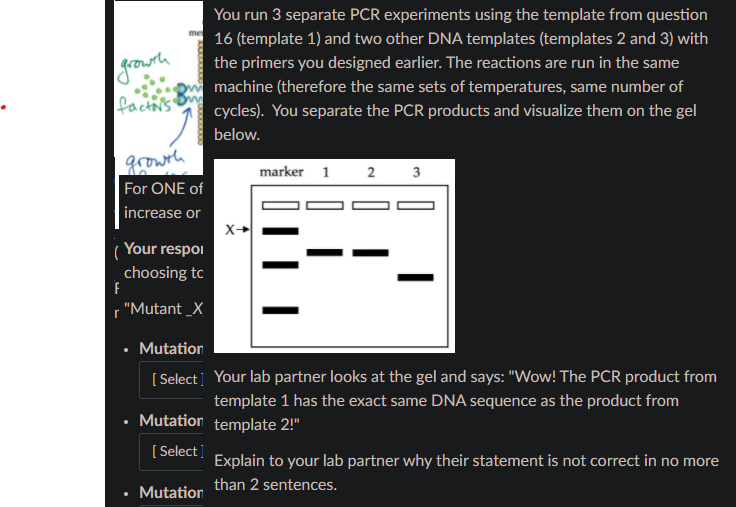 Solved You run PCR experiments using the template from | Chegg.com
