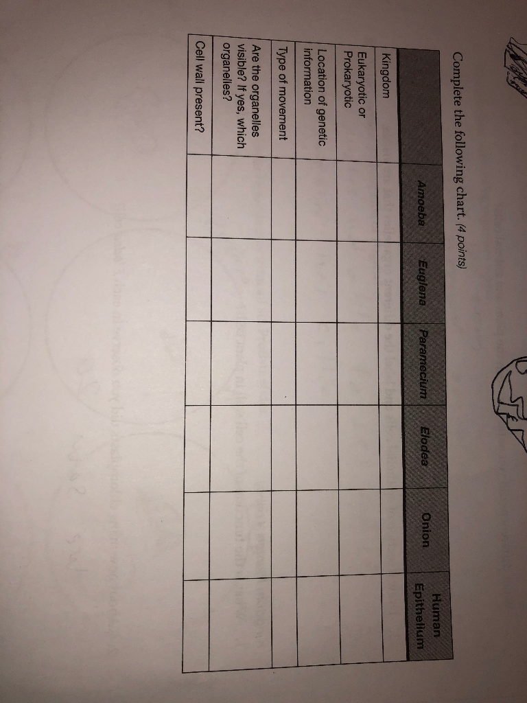 Solved Complete the following chart. (4 points) Human Amoeba | Chegg.com