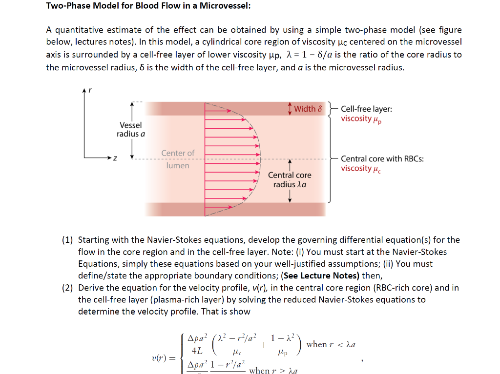 Two-Phase Model for Blood Flow in a Microvessel: A | Chegg.com