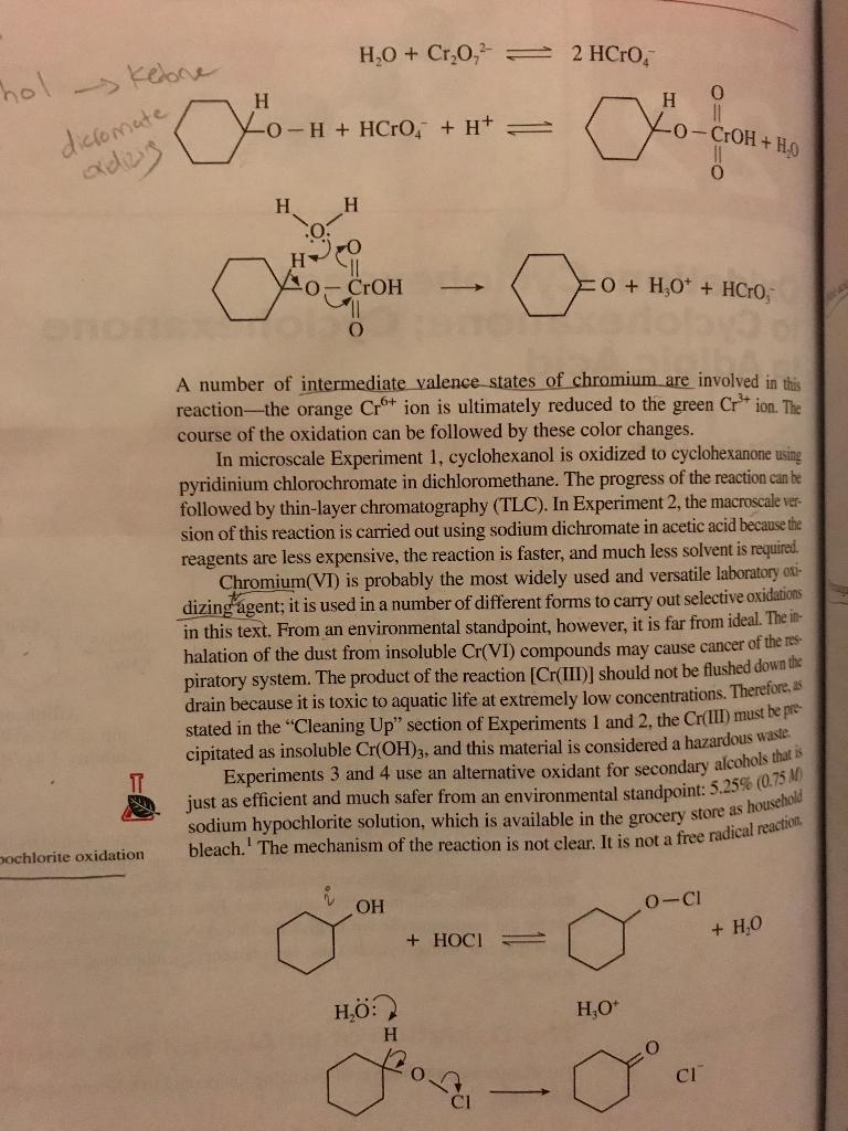 CHAPTER 22 Oxidation: Cyclohexanol to Cyclohexanone; | Chegg.com