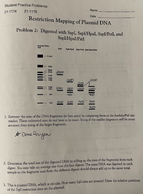 Solved Problem 2: Digested with SspI, Sspl/HpaI, SspI/PstI, | Chegg.com