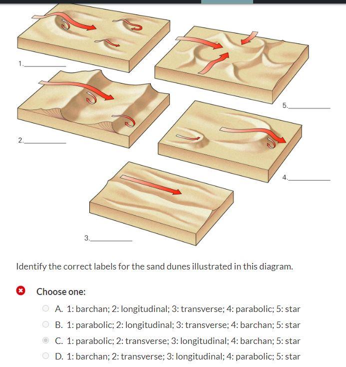 Solved 5. 2 3. Identify the correct labels for the sand | Chegg.com