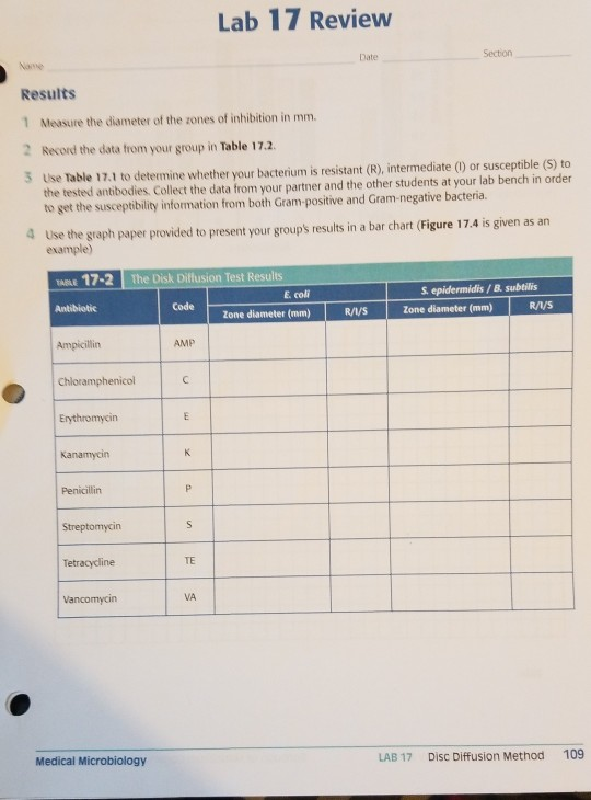 Lab 17 Review Section Date Name Results Measure the | Chegg.com