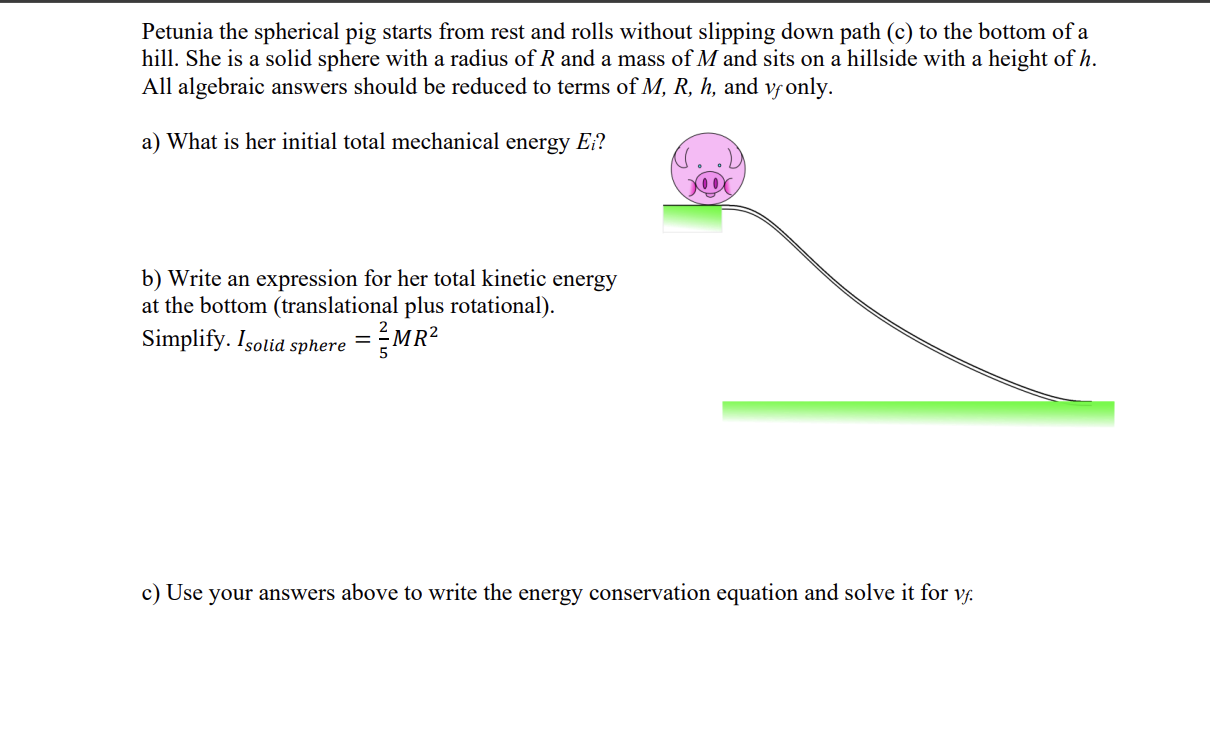Solved Petunia the spherical pig starts from rest and rolls | Chegg.com