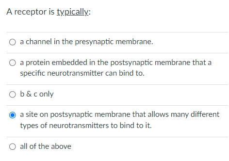 Solved A receptor is typically: a channel in the presynaptic | Chegg.com