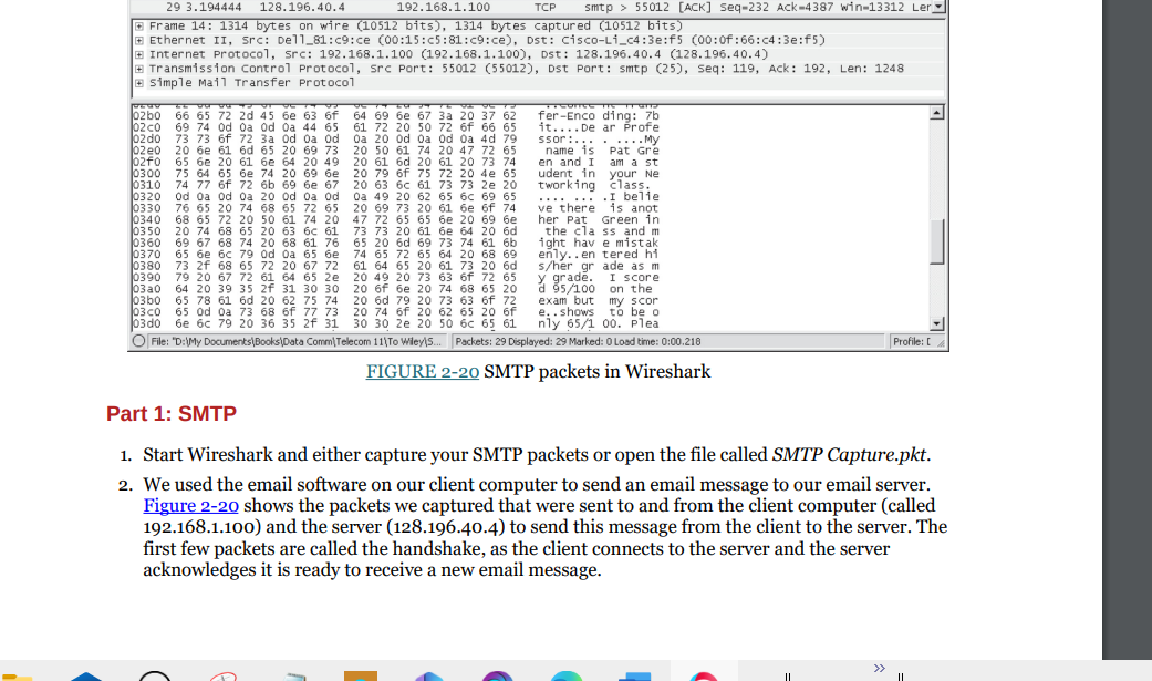Solved to capture your own packets, read Hands-On Activity 1 | Chegg.com