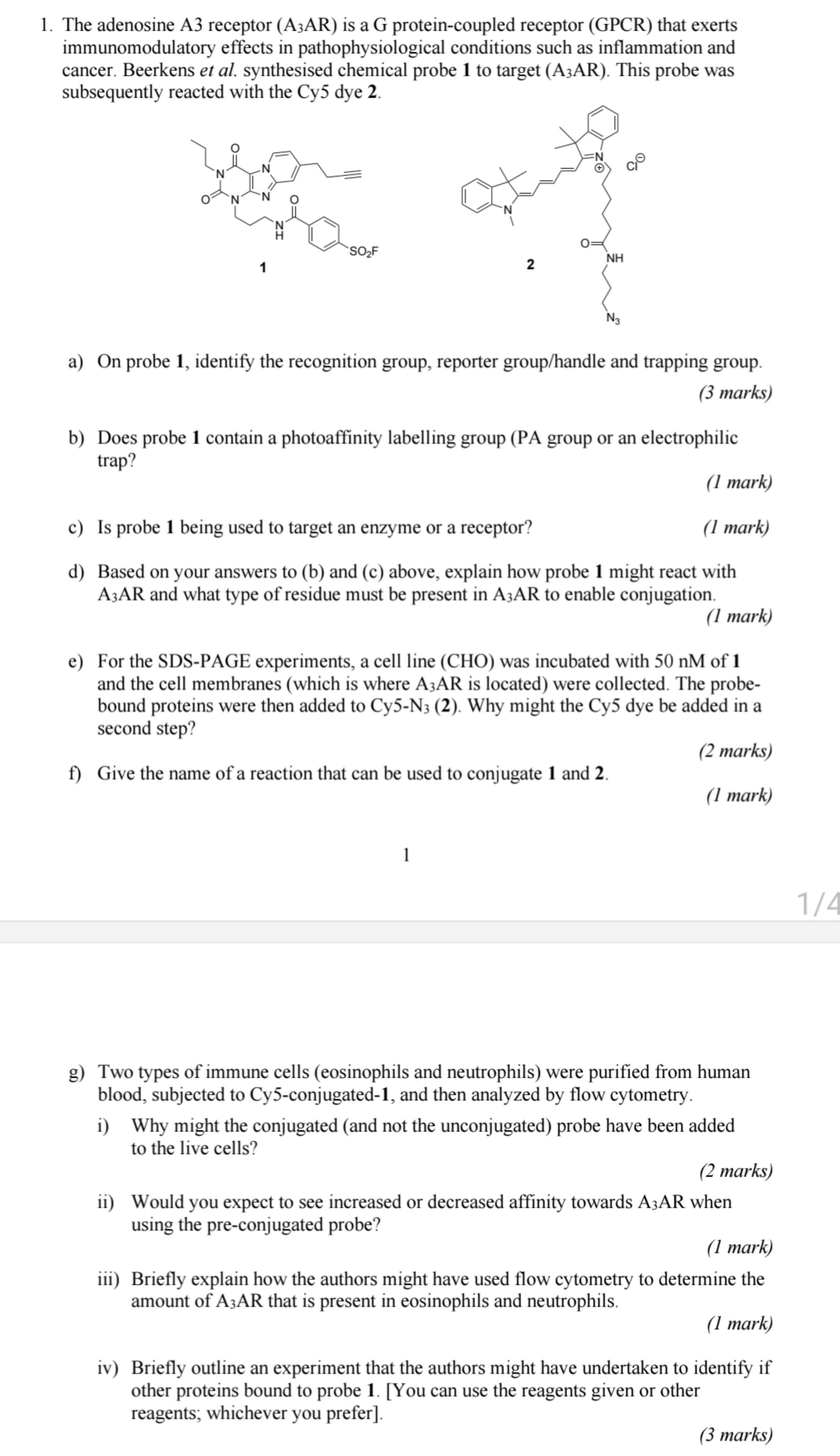Solved The adenosine A3 ﻿receptor (A3AR) ﻿is a G | Chegg.com