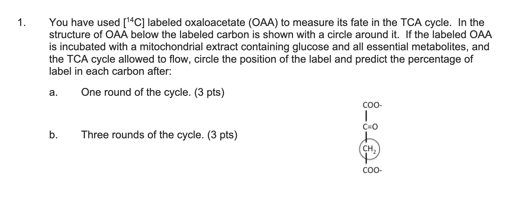 Solved You have used [14C] labeled oxaloacetate (OAA) to | Chegg.com