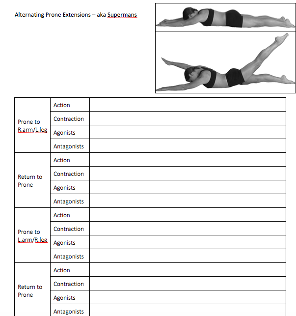 Solved Alternating Prone Extensions aka Supermans Action | Chegg.com