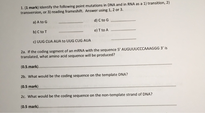 Solved Identify the following point mutations in DNA and in | Chegg.com