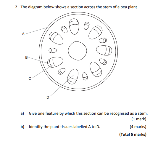 Solved 2 The diagram below shows a section across the stem | Chegg.com