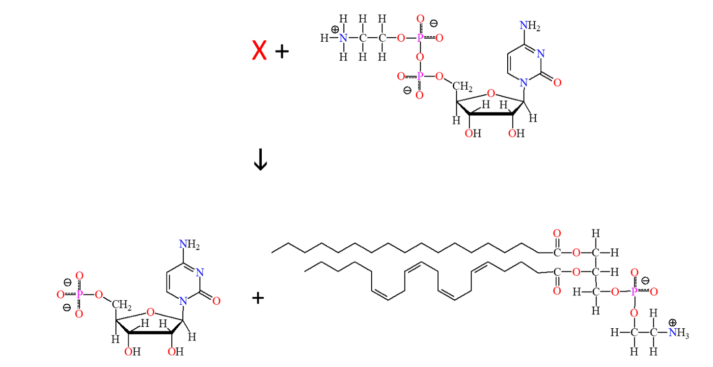 Solved Name the missing substate as well as the other | Chegg.com