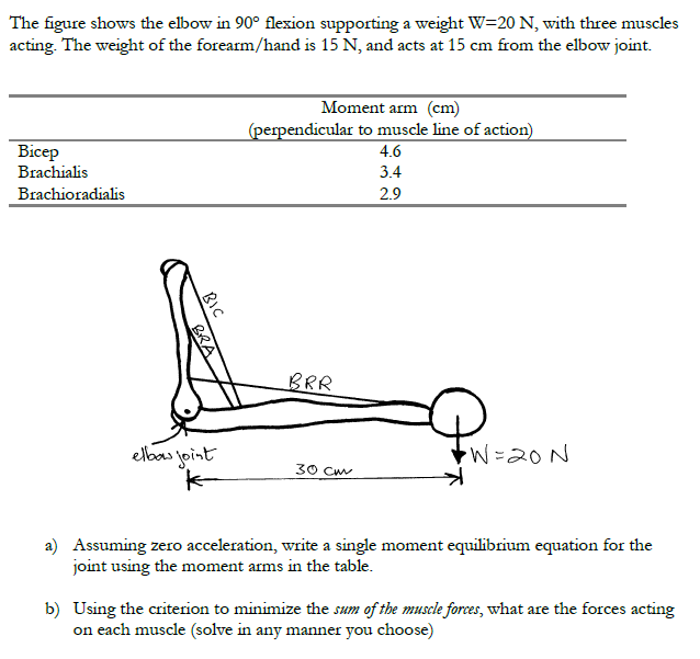 The figure shows the elbow in 90° flexion supporting | Chegg.com