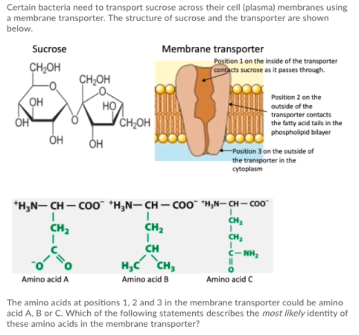 Solved Certain bacteria need to transport sucrose across | Chegg.com
