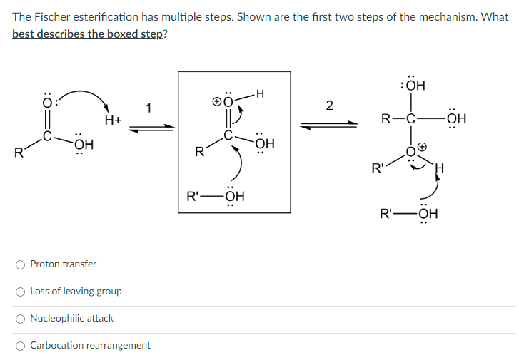 Solved The Fischer esterification has multiple steps. Shown | Chegg.com