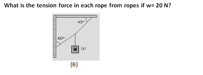 Solved What is the tension force in each rope from ropes if | Chegg.com