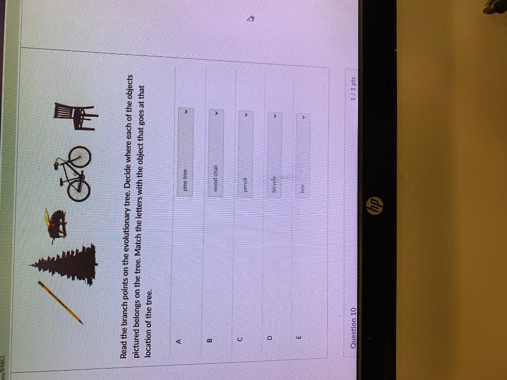 Solved es/84861 E Four legs Manufactured Made of wood No | Chegg.com