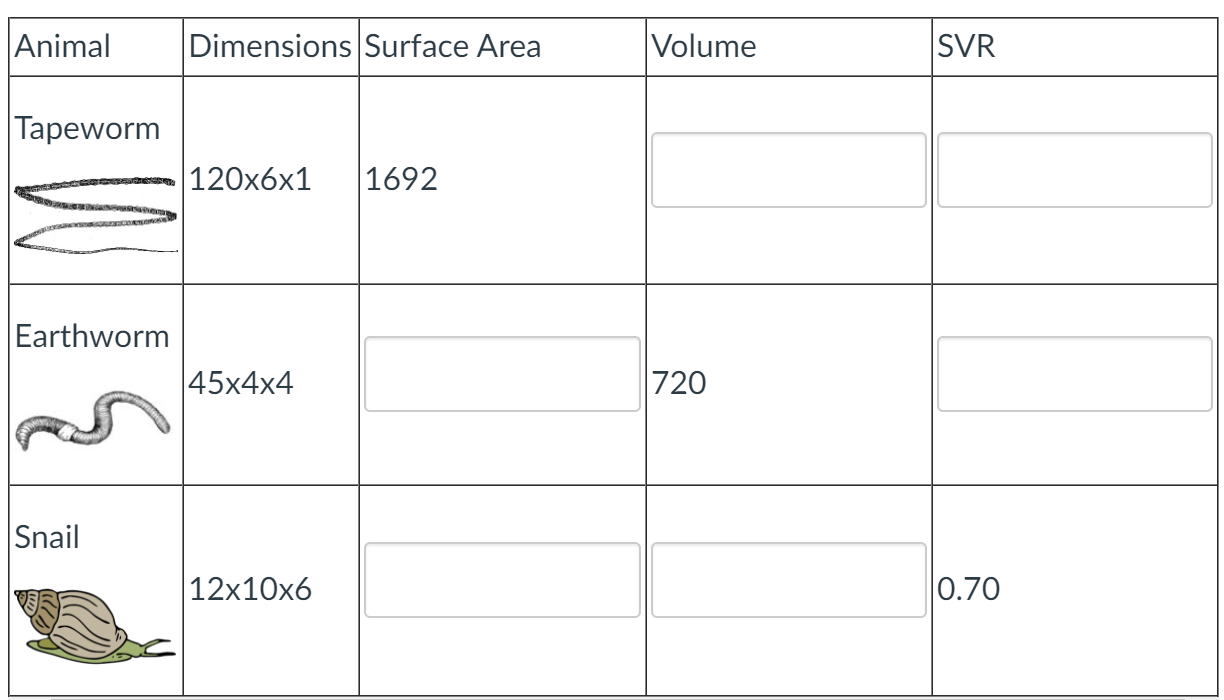 Solved The shape of an organism can also influence its | Chegg.com