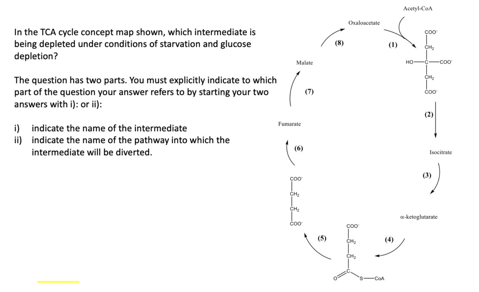 Solved In the TCA cycle concept map shown, which | Chegg.com