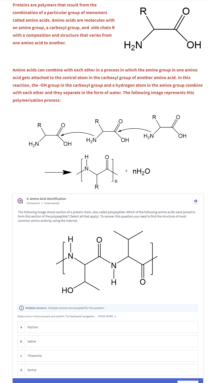 Solved 8 The Following Image Shows Section Of A Protein