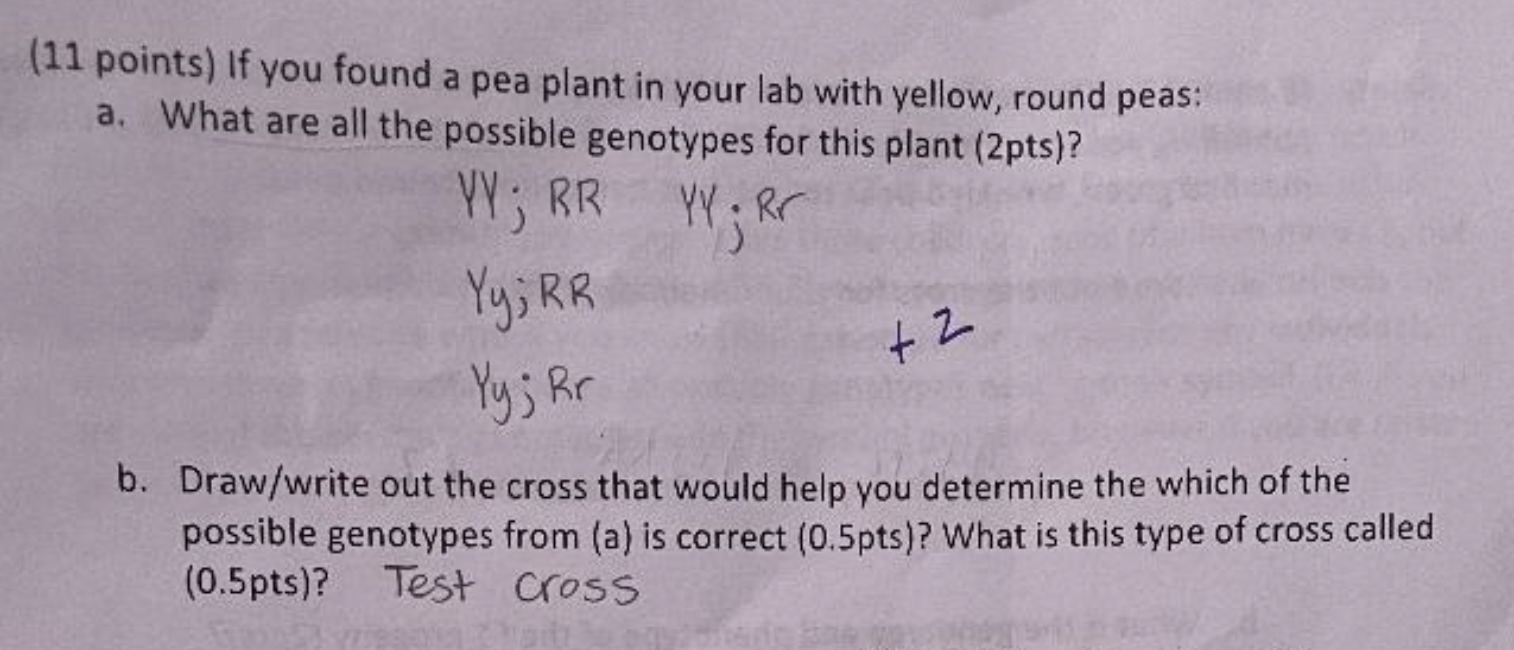 Solved (11 points) If you found a pea plant in your lab with | Chegg.com